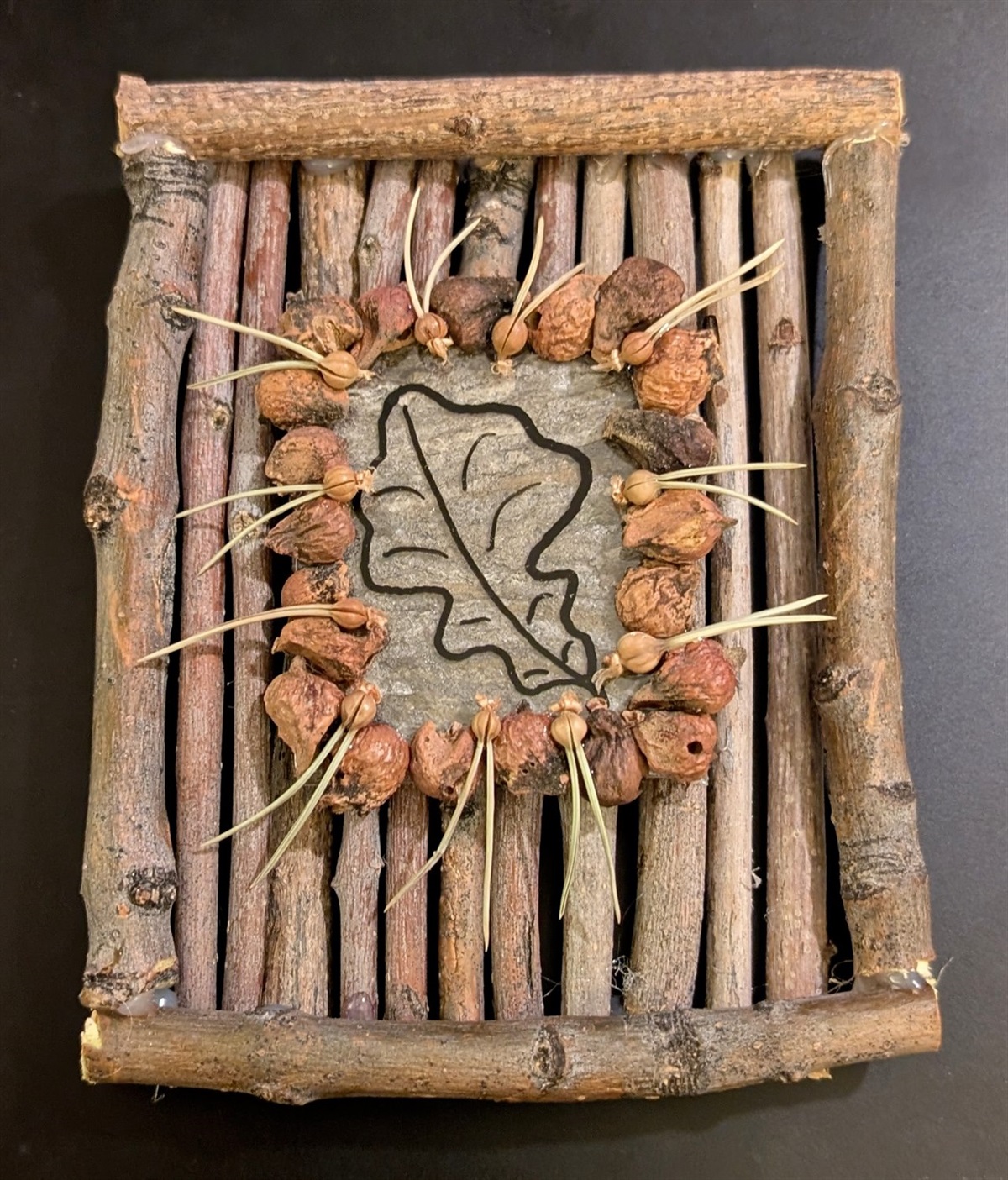 Nature Frames & Wasp Paper Art Gardens